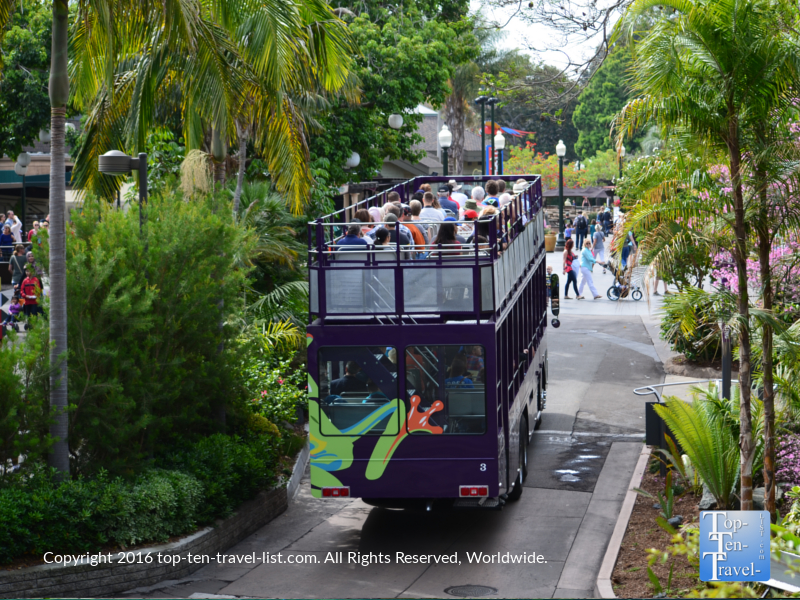 Attraction of the Week: The San Diego Zoo - Top Ten Travel Blog