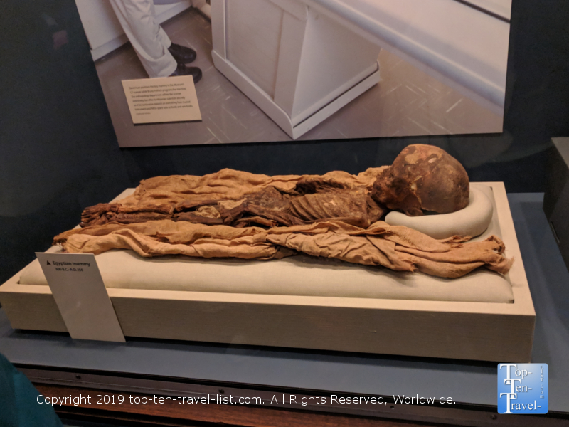 Attraction: Smithsonian National Museum of Natural History - Top Ten ...
