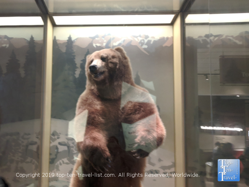 Attraction: Smithsonian National Museum of Natural History - Top Ten ...