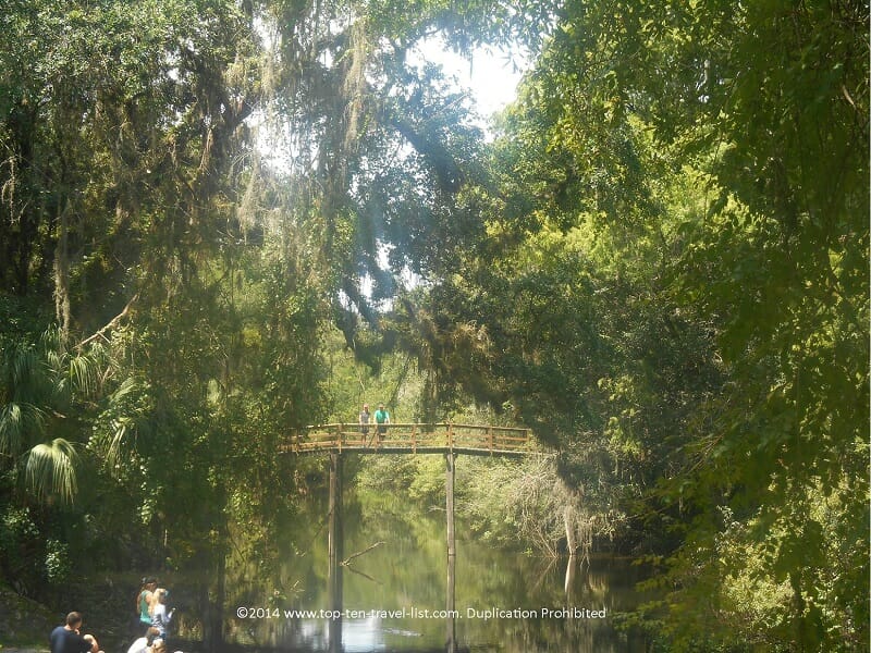 Get Lost in Nature at these 12 Tampa Bay Parks and Preserves