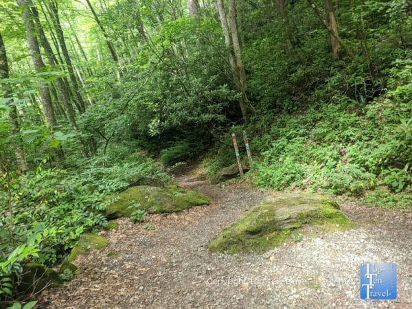Hiking Hotspot: Courthouse Falls