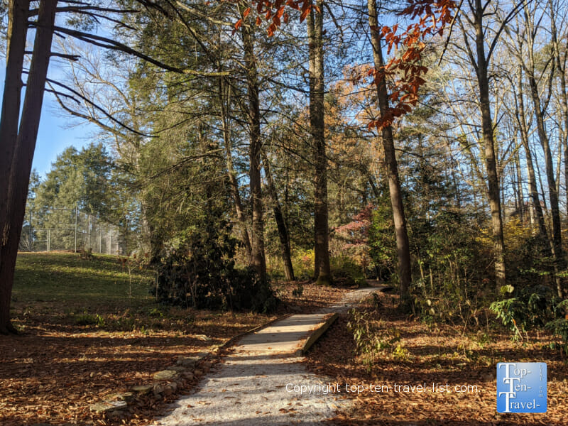 5 Things to do in Brevard, North Carolina