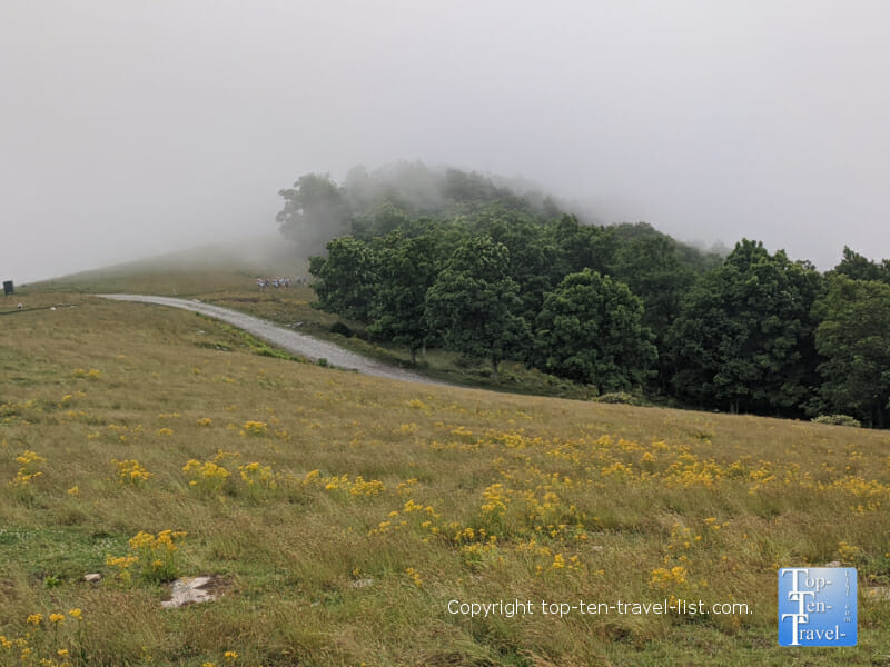 Hiking Hotspot: Bear Wallow Mountain