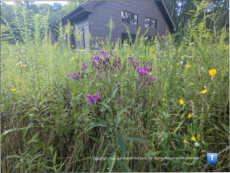 Brecksville Reservation: The Largest in the Cleveland Metroparks