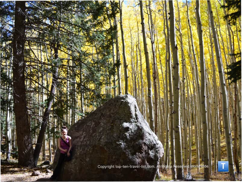 Hiking Inner Basin: Leaf Peeping in the San Francisco Peaks