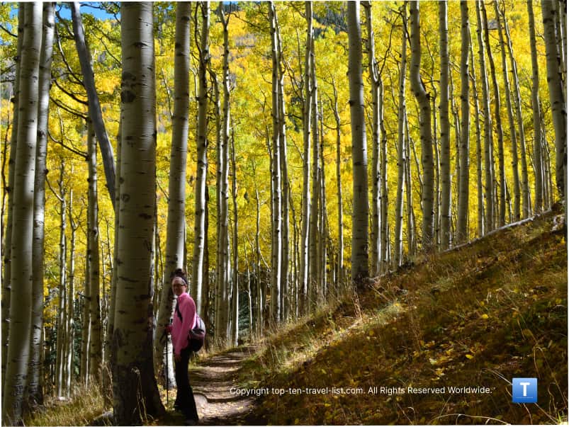 Hiking Inner Basin: Leaf Peeping in the San Francisco Peaks
