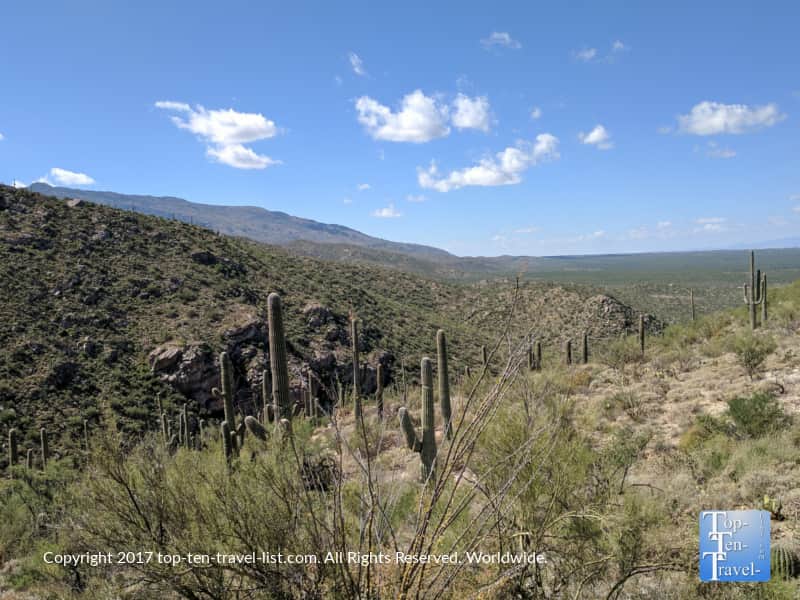 Tucson Hiking Guide: My Top 15 Scenic Picks