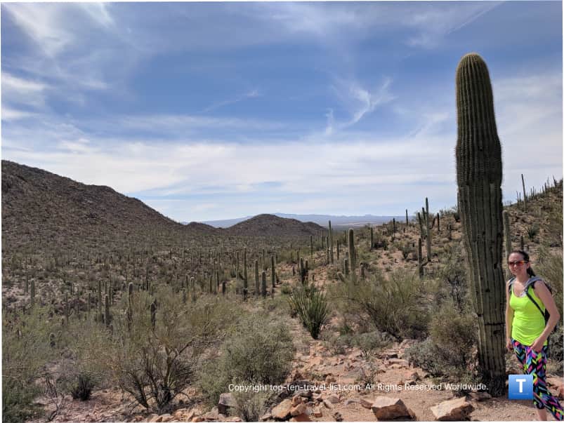 5 Easy & Scenic Tucson Hikes for the Hot Summer Season