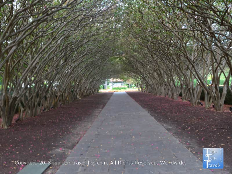 Autumn at the Dallas Arboretum and Botanical Garden