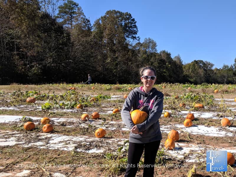 South Carolina Autumn Bucket List: 10 Things to do in the Upstate