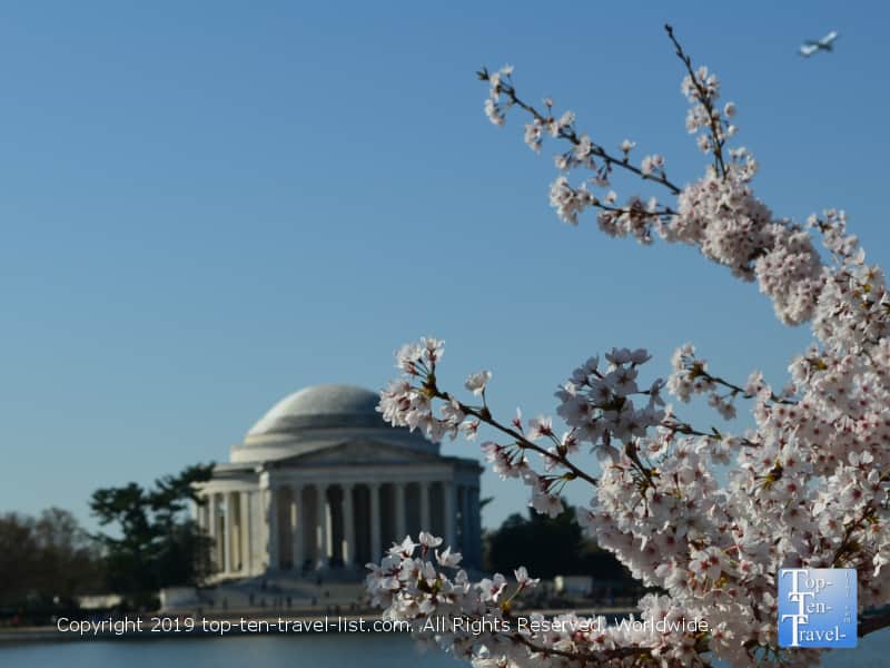 The National Cherry Blossom Festival in Washington, D.C.