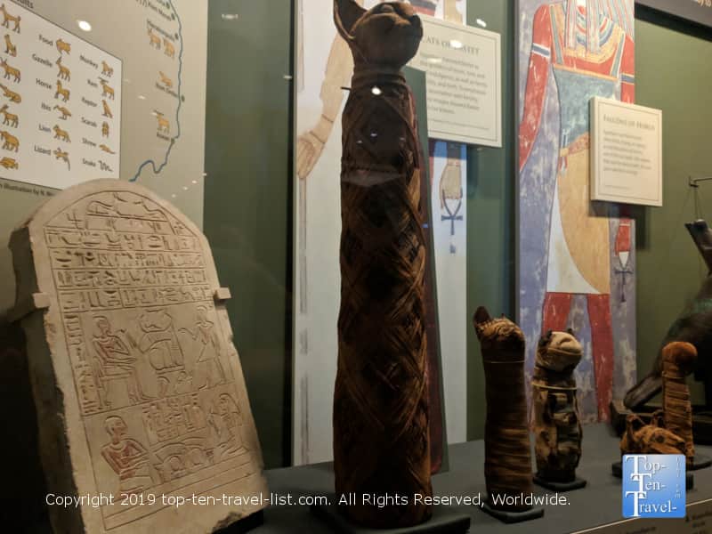 The Smithsonian Museum of Natural History: A D.C. Classic