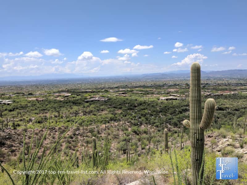 Pima Canyon: A Stunning Hike in the Catalina Foothills