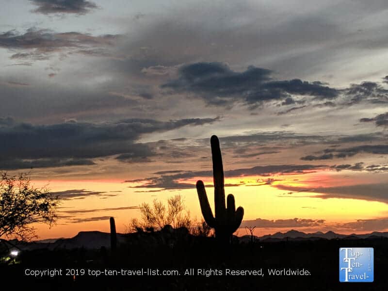 Tucson Hiking Guide: My Top 15 Scenic Picks