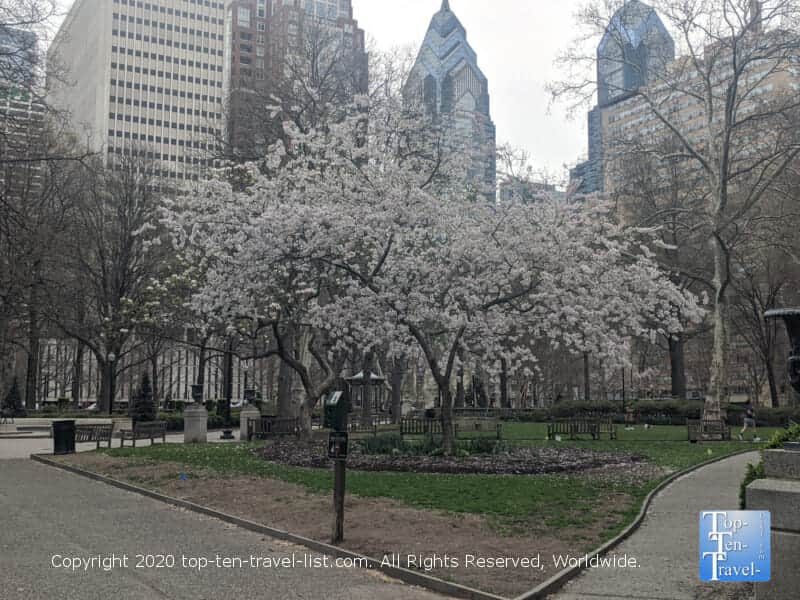 Center City Philly Tourist Guide: 12 Things to Do & See!