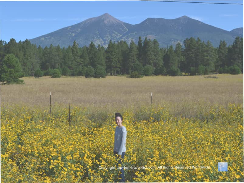 Flagstaff, Arizona Visitor Guide: The Top 10 Attractions