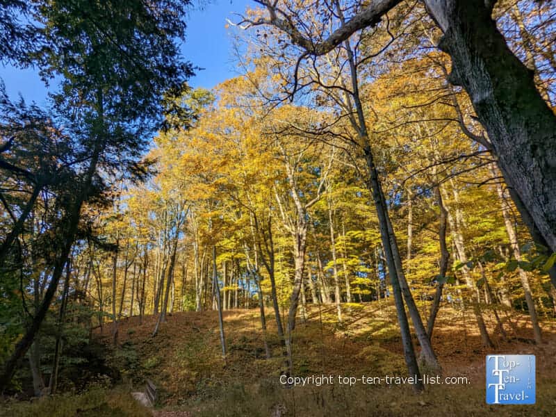 PIttsburgh Fall Bucket List: The Best Hikes, Events, & Treats