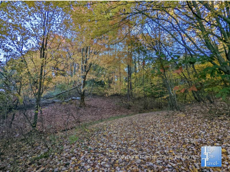Leaf Peeping at McConnells Mill State Park