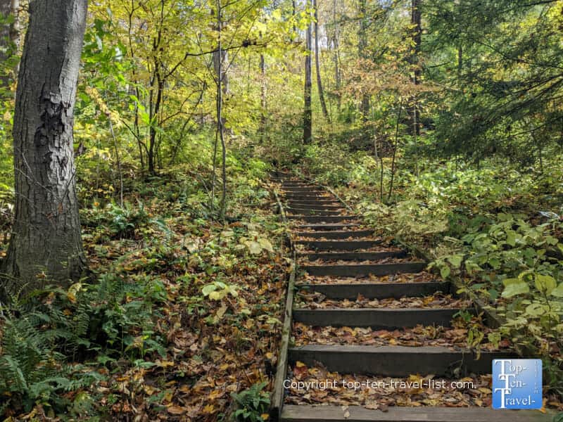 Leaf Peeping at McConnells Mill State Park