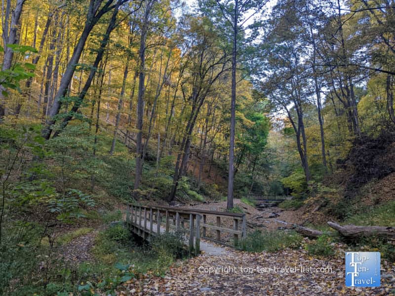 PIttsburgh Fall Bucket List: The Best Hikes, Events, & Treats