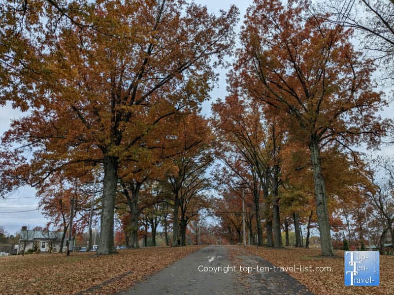 PIttsburgh Fall Bucket List: The Best Hikes, Events, & Treats