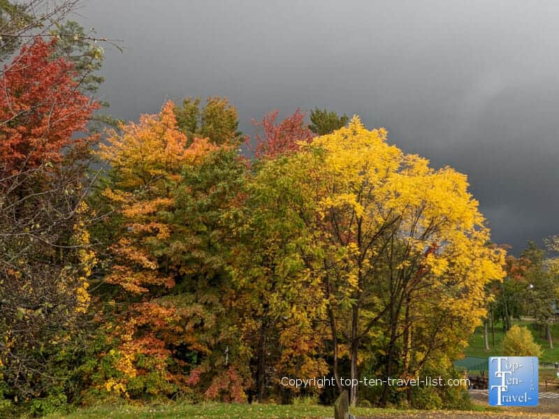 PIttsburgh Fall Bucket List: The Best Hikes, Events, & Treats