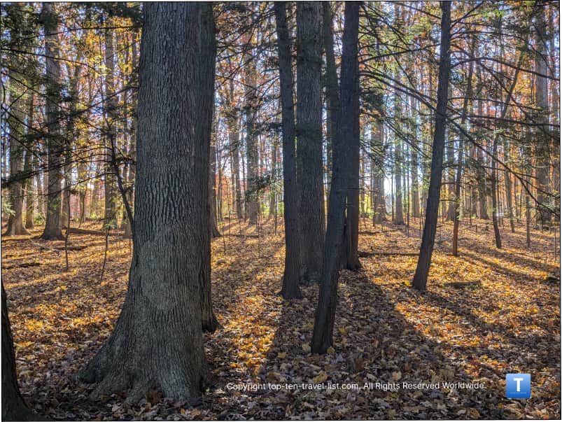 Brecksville Reservation: The Largest in the Cleveland Metroparks